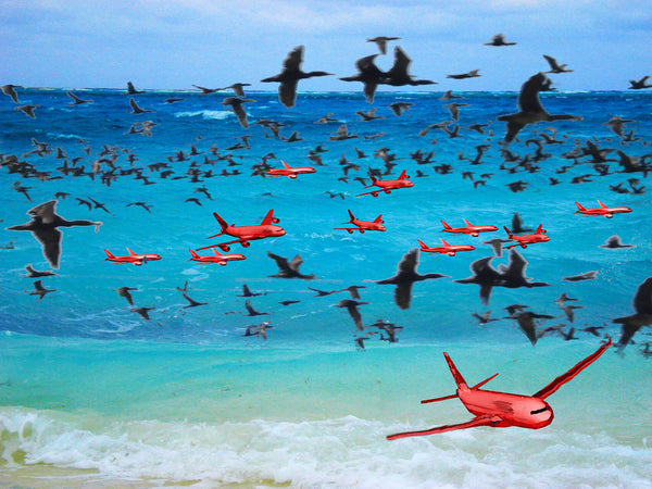 21BB60x45cm_ade850a5-98d6-48b0-a9a0-8f586a45d884_grande.jpg?v=1653824959